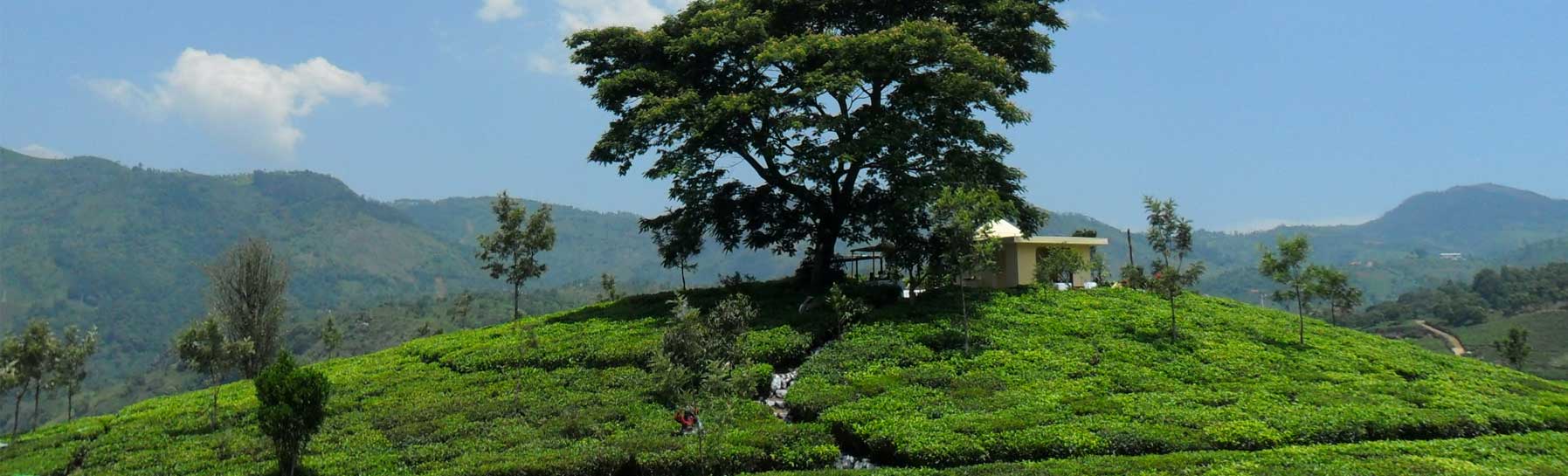 Kotagiri, The Nilgiris - e Coimbatore - Coimbatore Local Directory